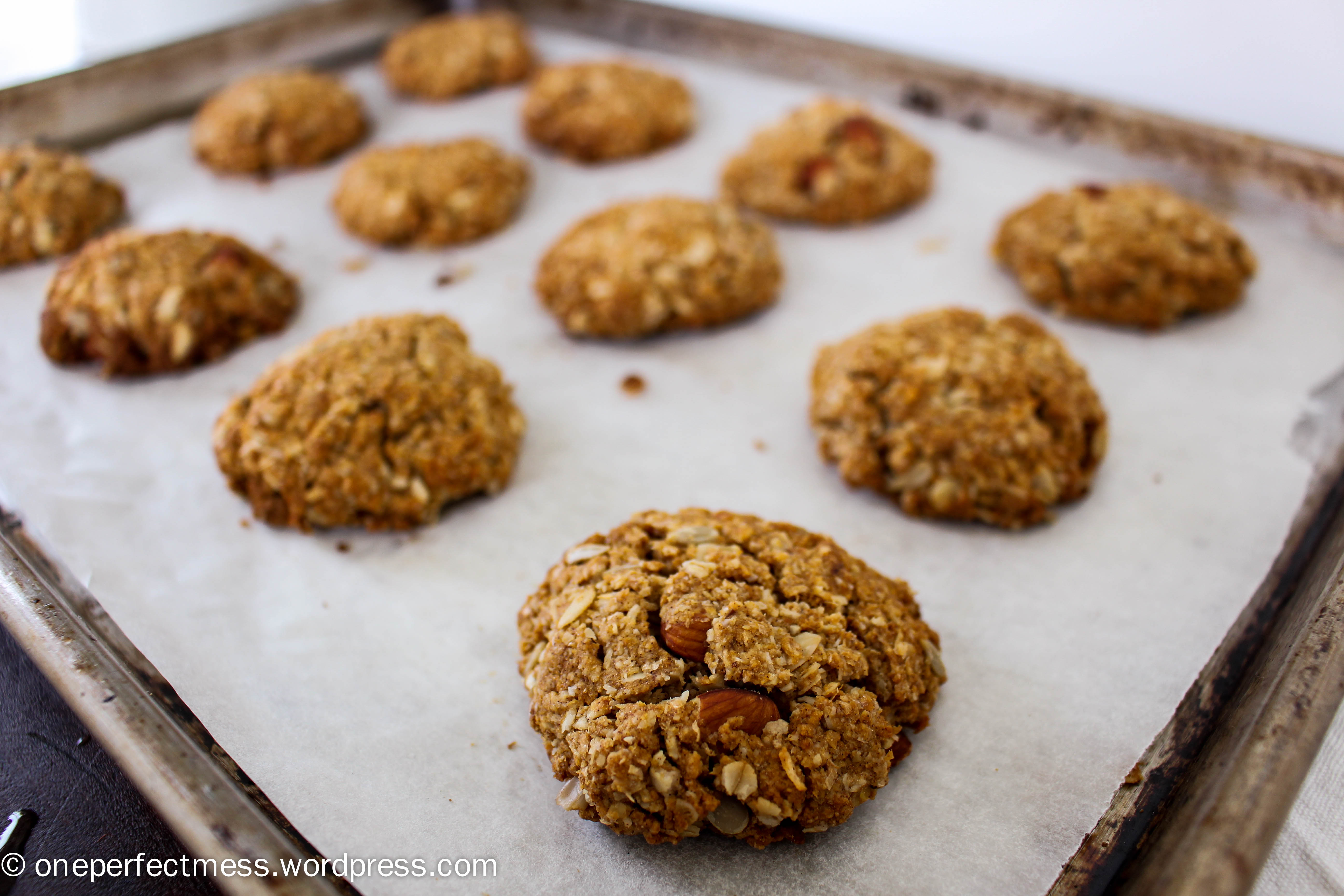 Healthy Muesli Cookies (Sugar Free) | one perfect mess